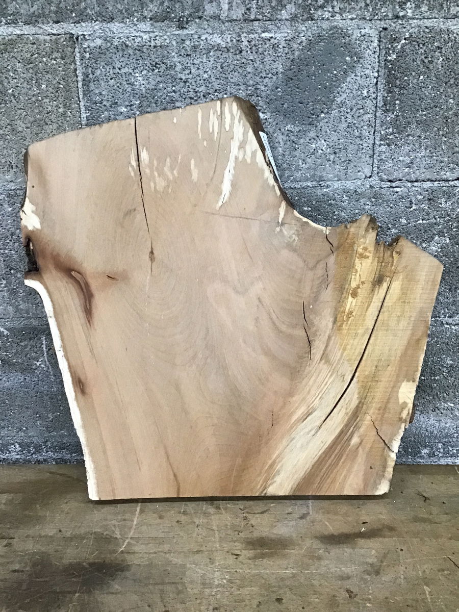 Live Edge Sanded Spalted Madrone Slab | Second Use Building Materials ...