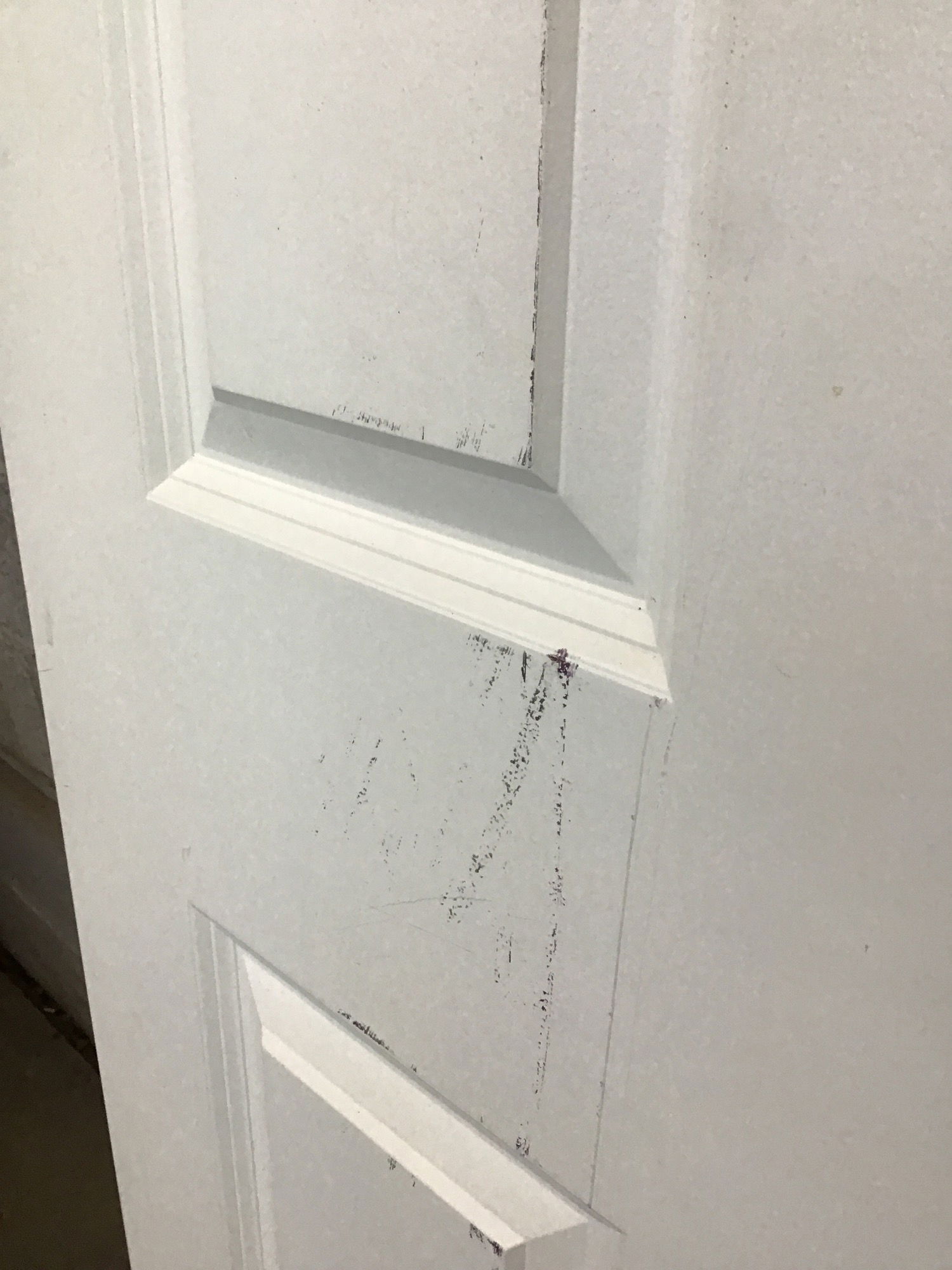 60″ Hollow Core Double Doors | Second Use Building Materials and Salvage