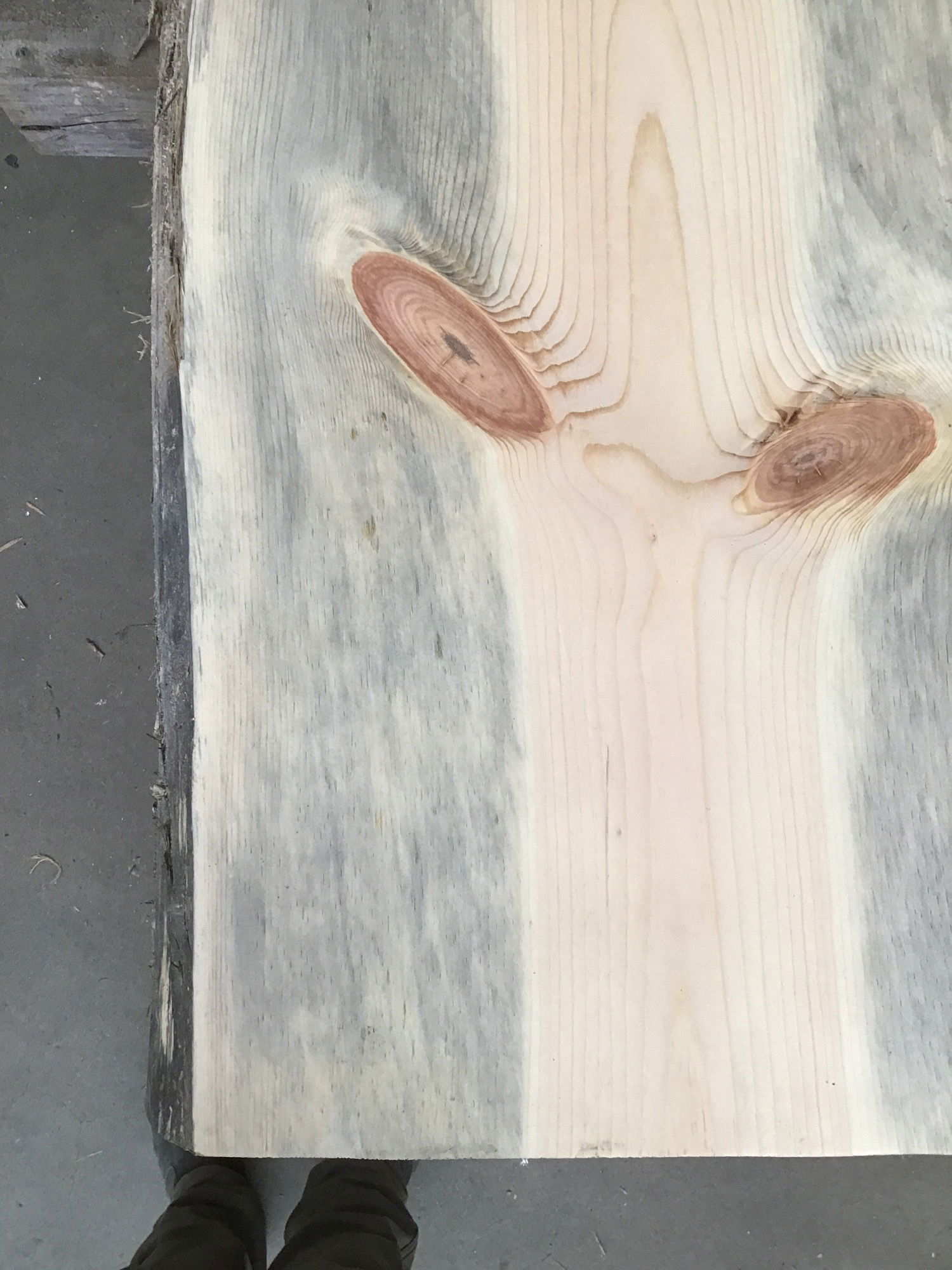 Sanded Live Edge Blue Pine Slab | Second Use Building Materials and Salvage