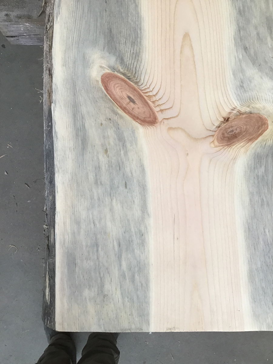 Sanded Live Edge Blue Pine Slab | Second Use Building Materials and Salvage